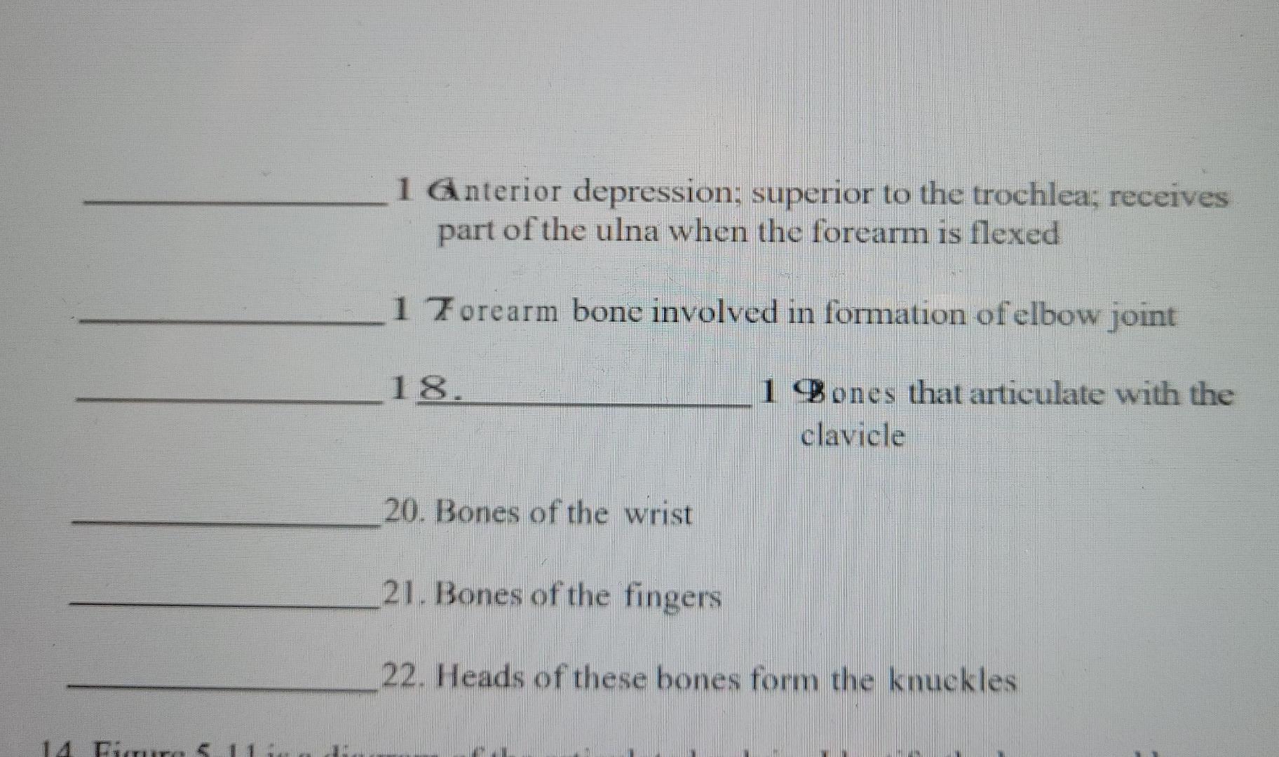 Solved 13. Using the key choices, identify the bone names or | Chegg.com