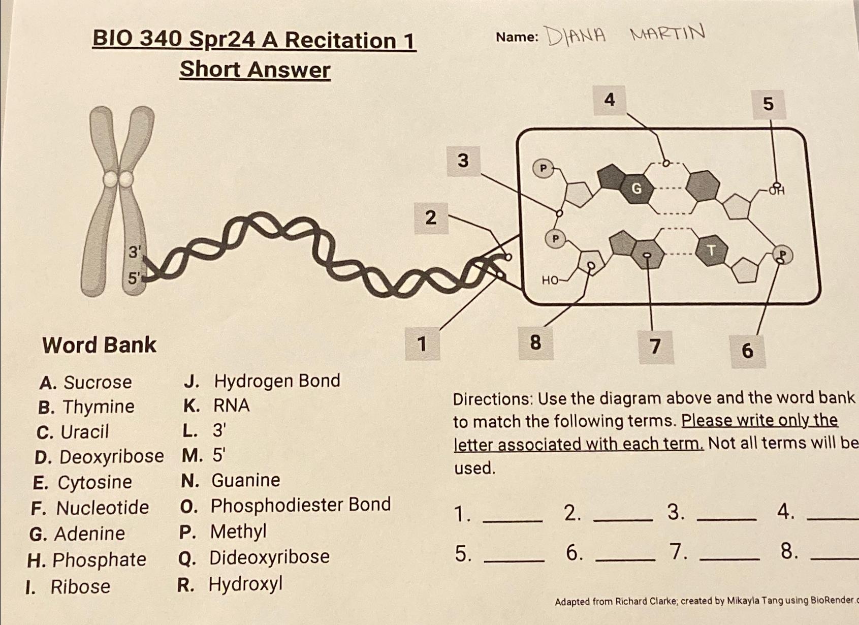 Solved BIO 340 Spr24 A Recitation 1Short AnswerI. RiboseR. | Chegg.com Solved BIO 340 Spr24 A Recitation 1Short AnswerI. RiboseR. | Chegg.com