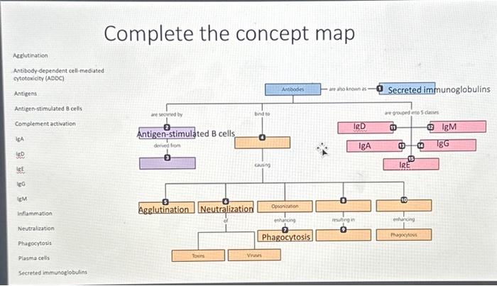 Solved Complete the concept map | Chegg.com
