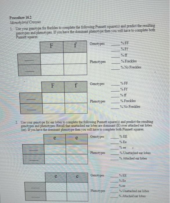 Solved Procedure 16.2 Monohybrid Crosses 1. Use your | Chegg.com