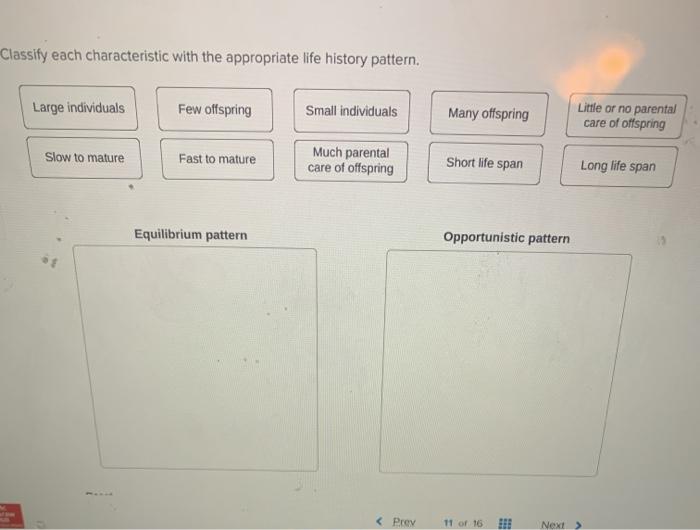 Solved Classify each characteristic with the appropriate | Chegg.com