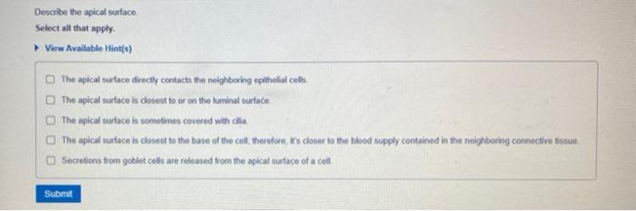 Solved Describe the apical surface Select all that apply | Chegg.com