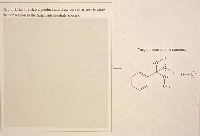 Solved The Fischer esterification mechanism is examined in | Chegg.com