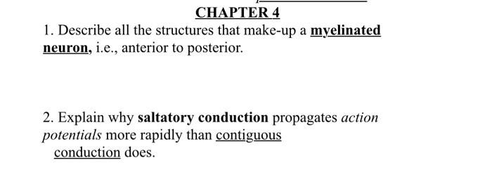 Solved CHAPTER 4 1. Describe all the structures that make-up | Chegg.com