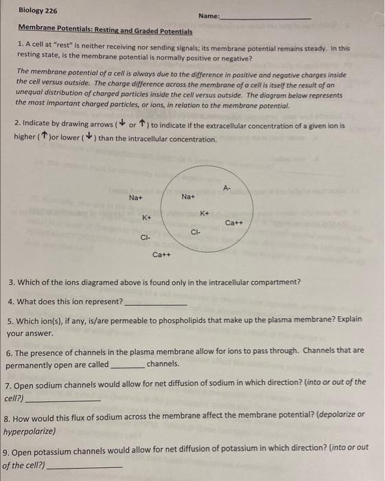Solved Membrane Potentials: Resting and Graded Potentials 1. | Chegg.com