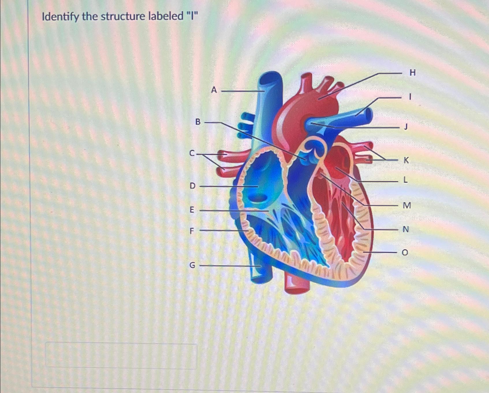 Solved Identify the structure labeled "I" | Chegg.com