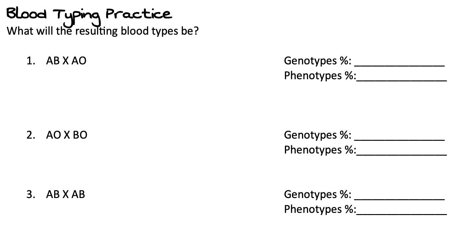 Solved Blood Typing PracticeWhat will the resulting blood | Chegg.com