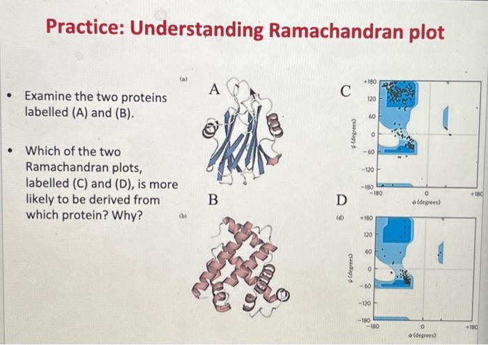 Solved Practice: Understanding Ramachandran plot Examine the | Chegg.com