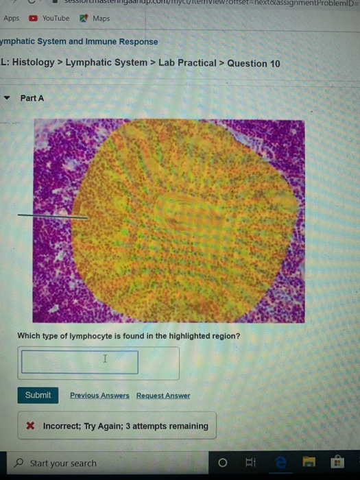 Solved SESSIU Illasterlliyaarup.LU/Tyluitenview/offset next | Chegg.com