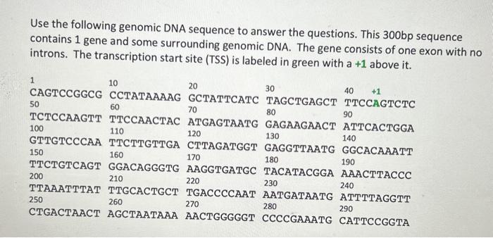 Solved Use the following genomic DNA sequence to answer the | Chegg.com