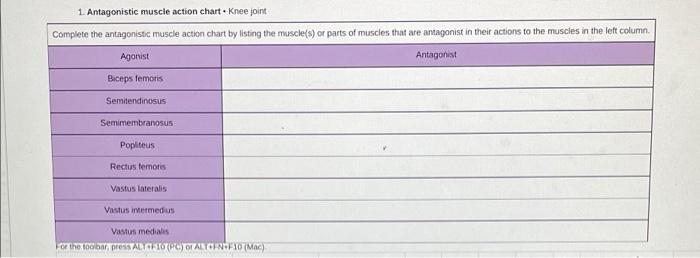 Solved 1. Antagonistic muscle action chart + Knee joint | Chegg.com