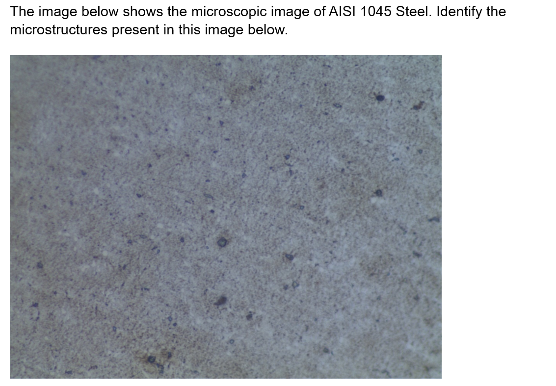 Solved The image below shows the microscopic image of AISI | Chegg.com
