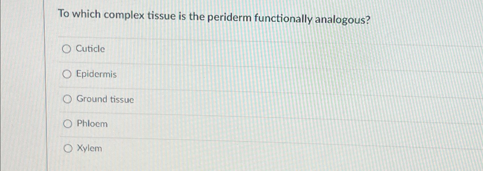 Solved To which complex tissue is the periderm functionally | Chegg.com