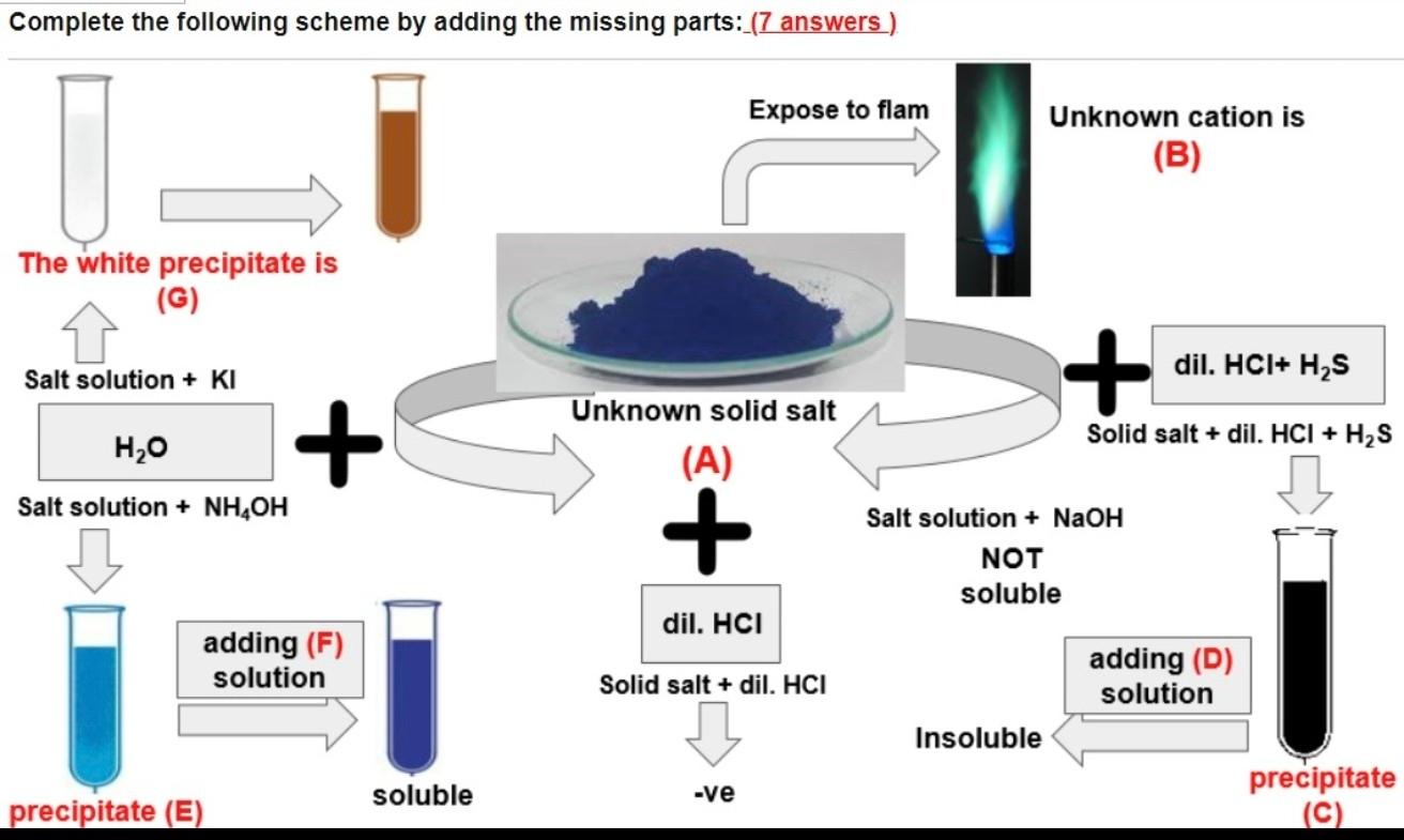 Solved Complete the following scheme by adding the missing | Chegg.com