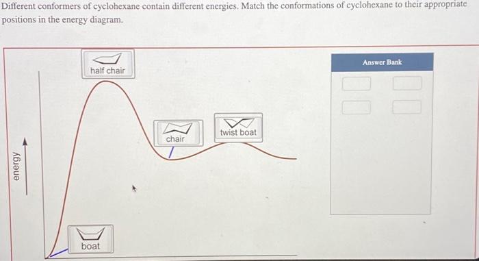 Solved Different conformers of cyclohexane contain different | Chegg.com