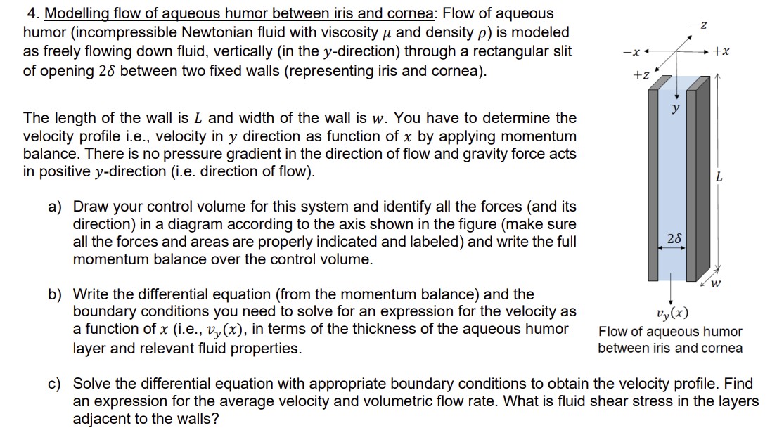 Solved 4. ﻿Modelling flow of aqueous humor between iris and | Chegg.com