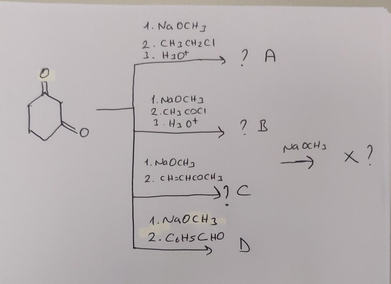 Solved 1. NaOCH3 2. CH3CH2Cl 3. H3O+→ ? A 1. NaOCH3 2. | Chegg.com