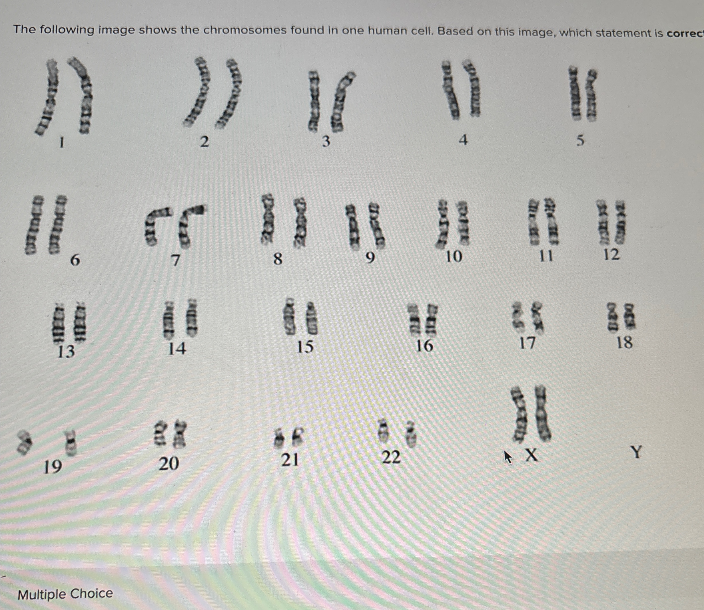The following image shows the chromosomes found in | Chegg.com