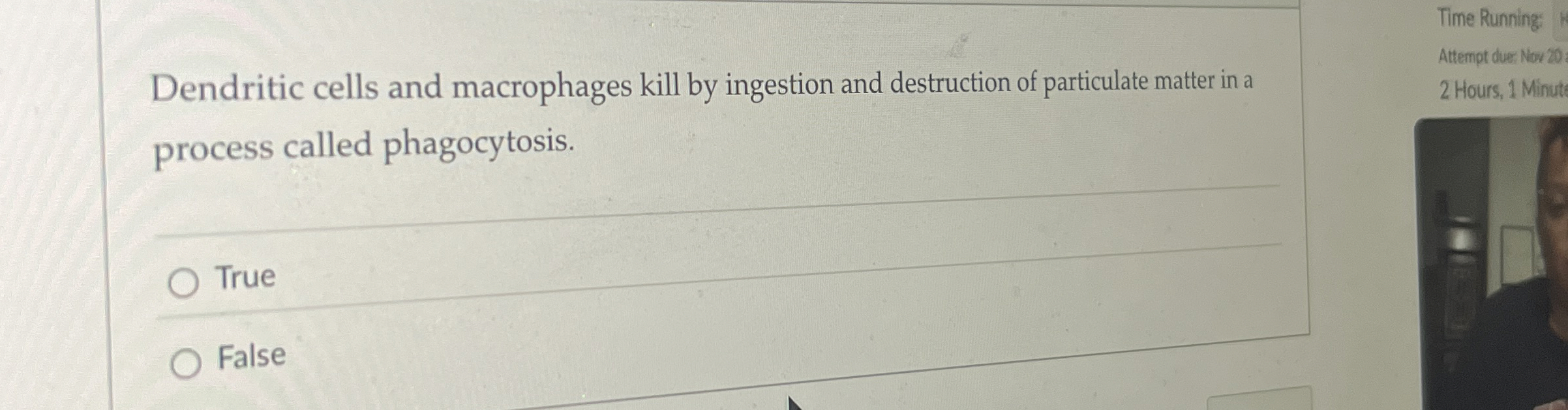 Solved Dendritic cells and macrophages kill by ingestion and | Chegg.com