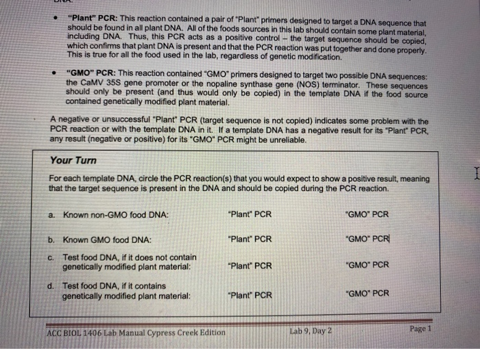 "Plant" PCR: This reaction contained a pair of | Chegg.com