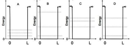 Solved above are 4 diagrams of an infinite square well | Chegg.com