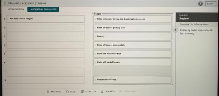 Solved SUBMIT STAINING ACID FAST STAINING INTRODUCTION | Chegg.com Solved SUBMIT STAINING ACID FAST STAINING INTRODUCTION | Chegg.com