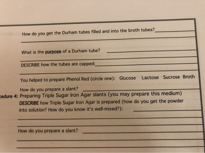 Solved How do you get the Durham tubes filled and into the | Chegg.com