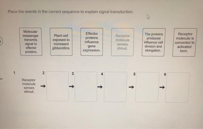 Solved Place the events in the correct sequence to explain | Chegg.com
