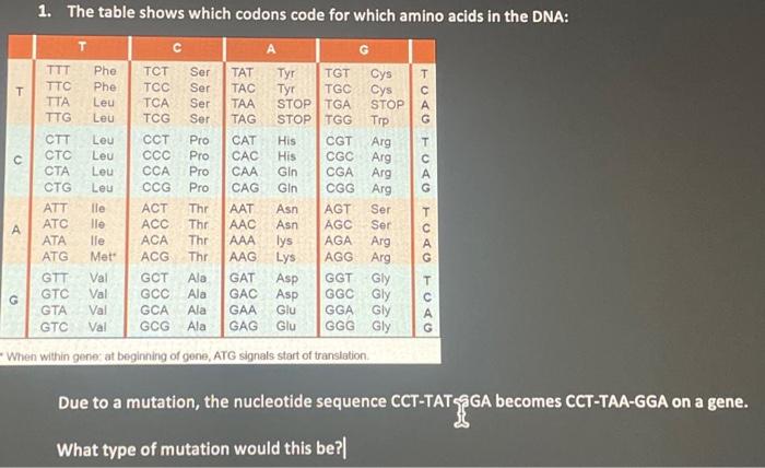 Solved 1. The table shows which codons code for which amino | Chegg.com