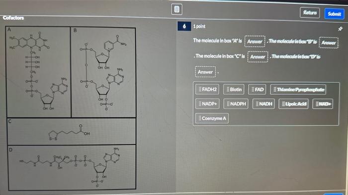 Solved Instructions Identify the following molecules. USe | Chegg.com