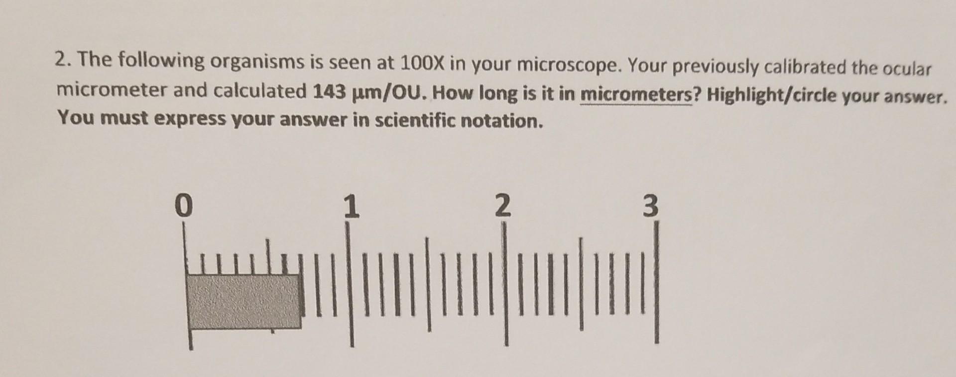 Solved 1. The following organism is seen at 40X (all | Chegg.com