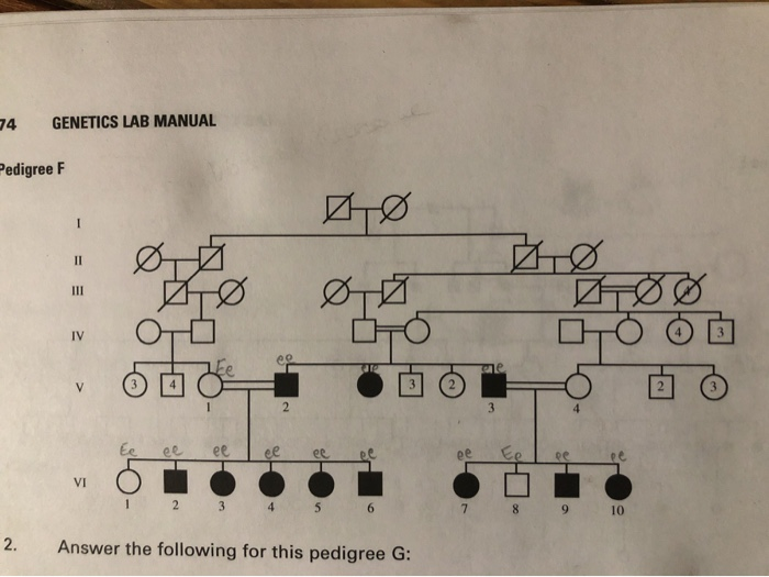 Solved Part Three - Pedigrees and Probability 1. Answer the | Chegg.com