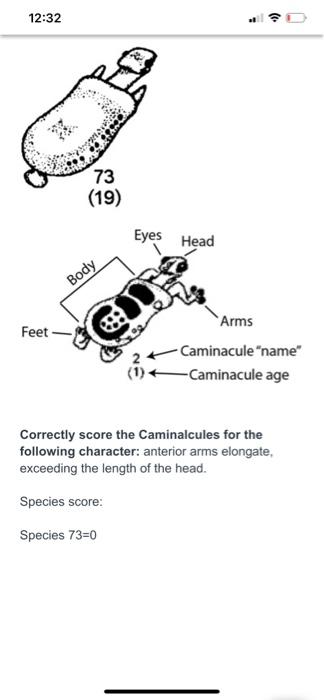 Solved Correctly score the Caminalcules for the following | Chegg.com