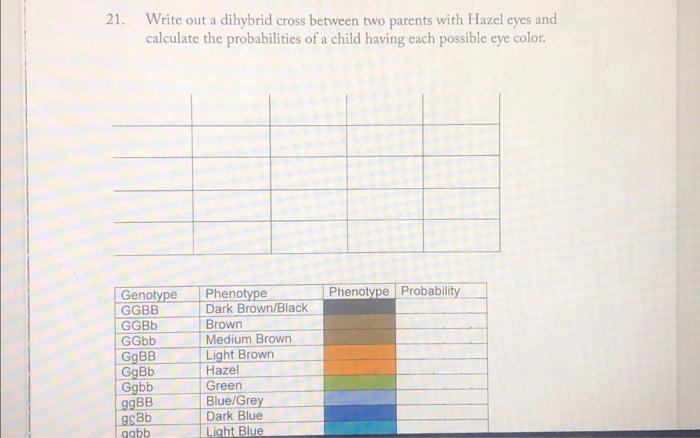 Solved 21. Write out a dihybrid cross between two parents | Chegg.com Solved 21. Write out a dihybrid cross between two parents | Chegg.com