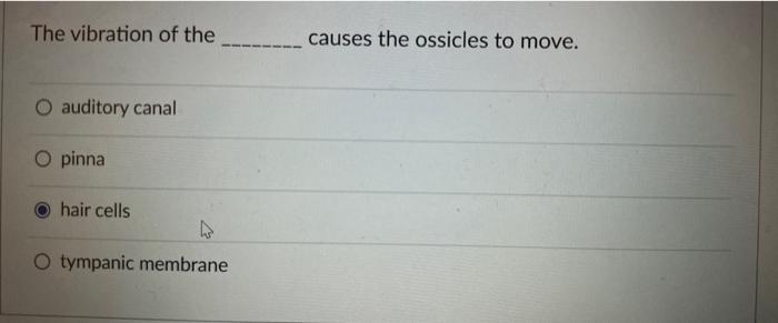 Solved The vibration of the causes the ossicles to move. | Chegg.com