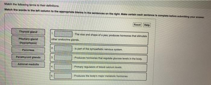 Solved Match the following terms to their definitions. Match | Chegg.com
