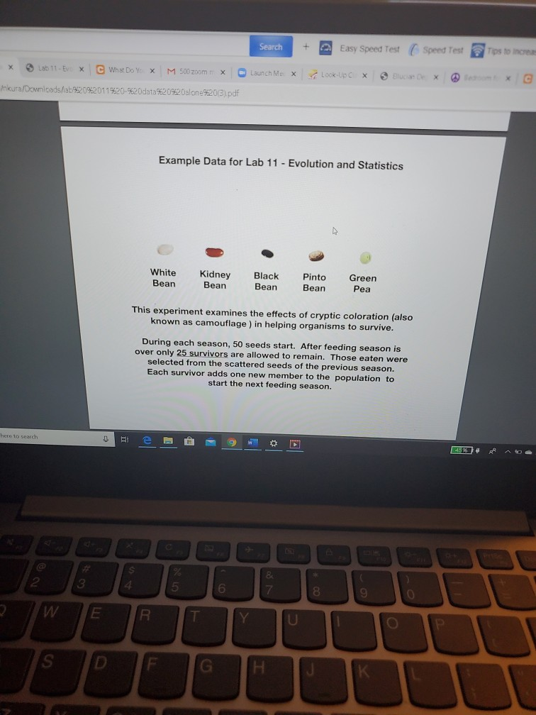 Experiment 2 -Variation in Prey Coloration Describe | Chegg.com