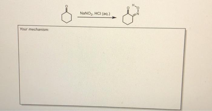Solved NMez NMez NaNO2, HCl(aq.) NEO Your mechanism: | Chegg.com