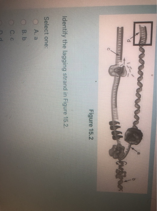 Solved mumowionowo o 11110111 MARA ALAMINT A TEAM spoor | Chegg.com