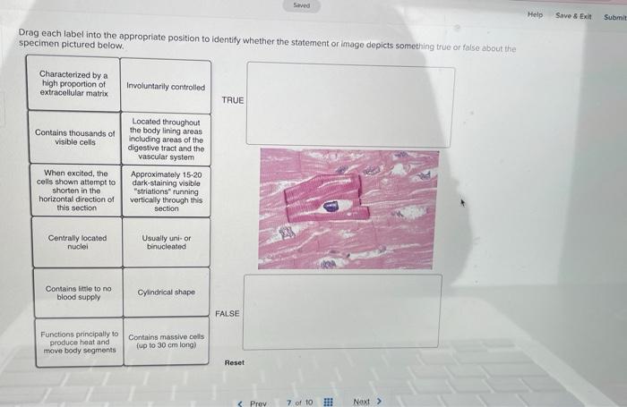 Solved Seved Help Save & Exit Submit Drag each label into | Chegg.com