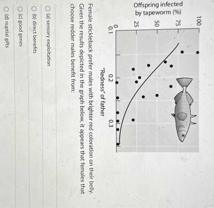 Solved Female stickleback prefer males with brighter red | Chegg.com