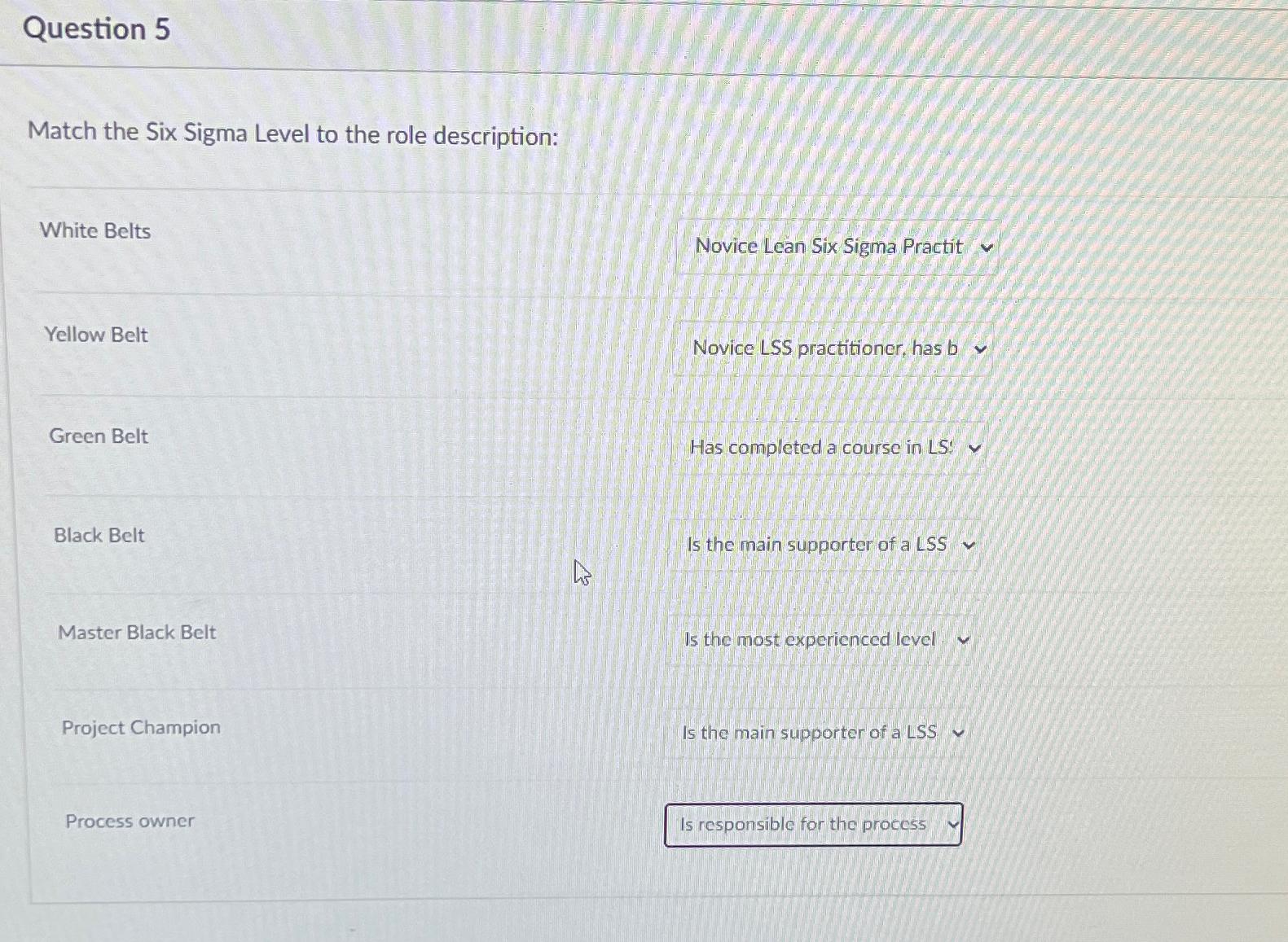 Solved Question 5Match the Six Sigma Level to the role | Chegg.com