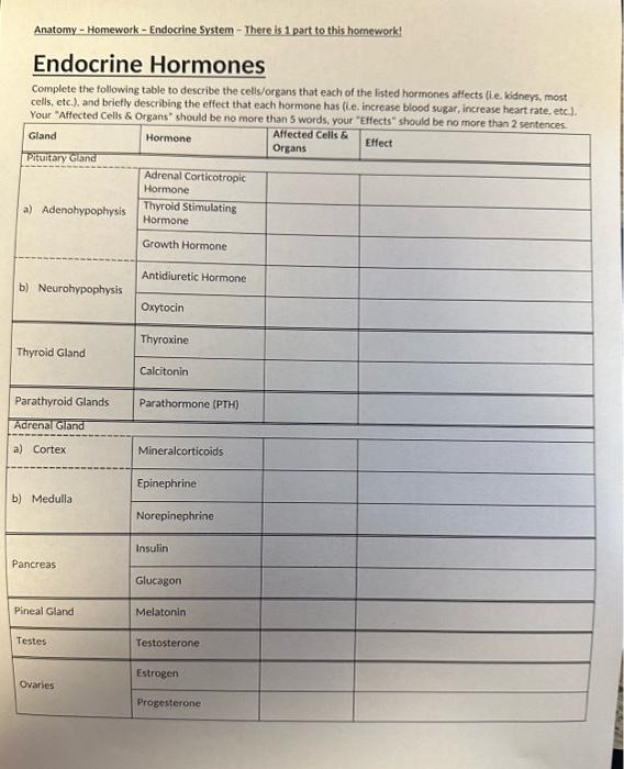 Solved Endocrine Hormones | Chegg.com