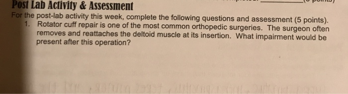 Solved Post Lab Activity & Assessment For the post-lab | Chegg.com