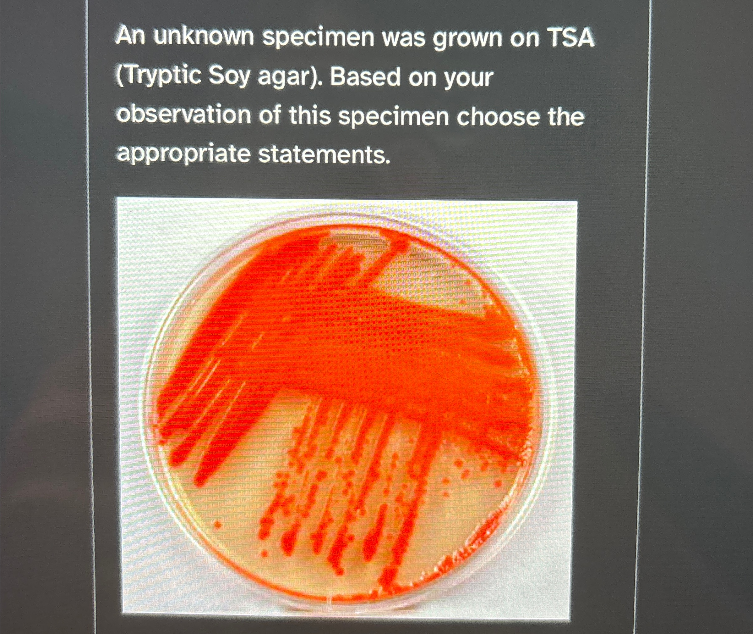 An unknown specimen was grown on TSA (Tryptic Soy | Chegg.com