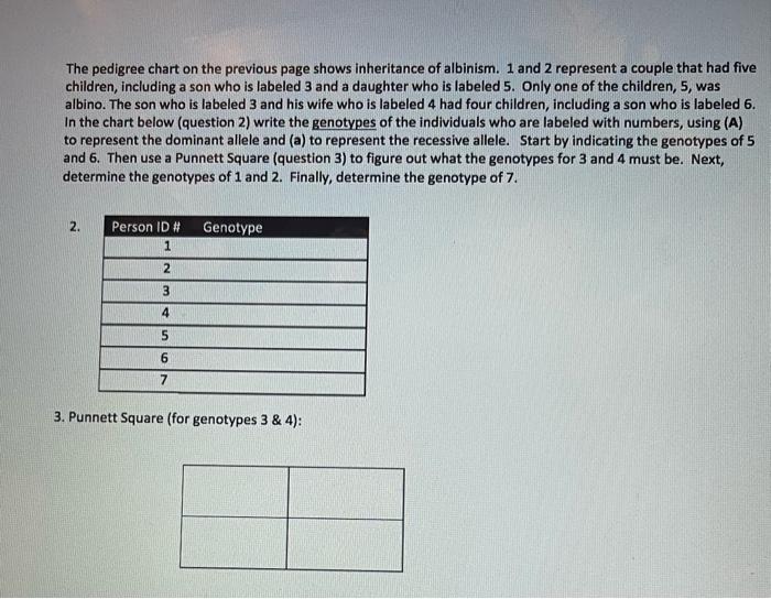 Solved Pedigree analysis Human geneticists illustrate the | Chegg.com