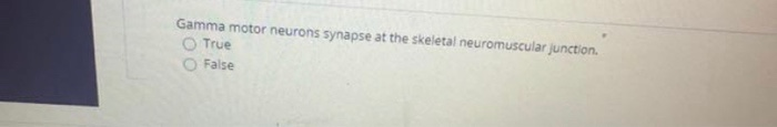 Solved Gamma motor neurons synapse at the skeletal | Chegg.com