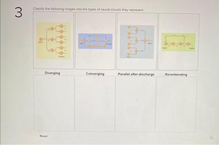 Classify the following images into the types of | Chegg.com