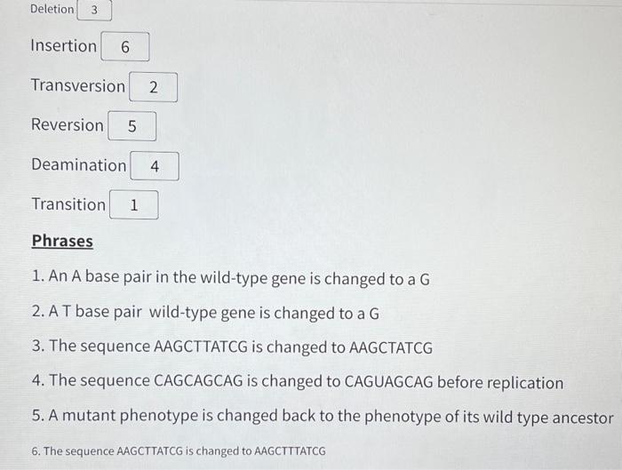 Solved 1. An A base pair in the wild-type gene is changed to | Chegg.com