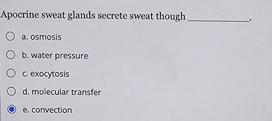 Solved Apocrine sweat glands secrete sweat thougha. | Chegg.com